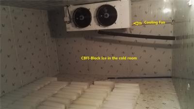 China Commercial Block Ice Machine 10 Tons Per Day BBI100 Brine Refrigeration for Fishing for sale