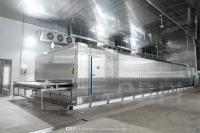 China Fish Fillet IQF Continuous Individual Quick Freezing Machine 500kg/h Food Tunnel Freezer for sale