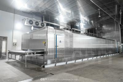 China Fish Fillet IQF Continuous Individual Quick Freezing Machine 500kg/h Food Tunnel Freezer for sale