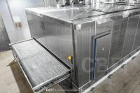 China Fish Fillet IQF Continuous Individual Quick Freezing Machine 500kg/h Food Tunnel Freezer for sale