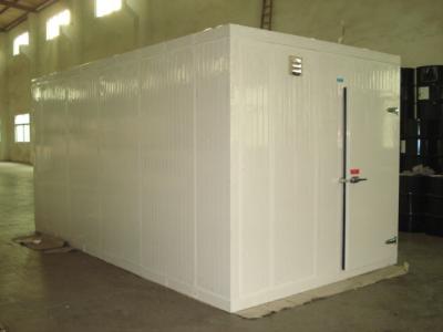 China Polyurethane Panel Freezer Cold Room -18 to -25°C for Fish and Meat Storage 150mm for sale