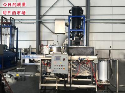 China Automatic Ice Cube Packing Machine P5 P10 PLC Control 15-25 Bags Per Minute for sale