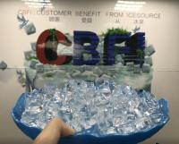 China R404a Refrigerant Commercial Ice Cube Maker Machine For Philippine for sale