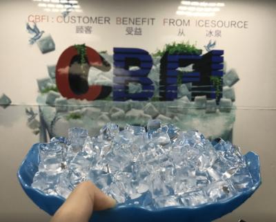 China R404a Refrigerant Commercial Ice Cube Maker Machine For Philippine for sale