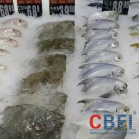 China R404A Marine Flake Ice Maker 1-60 Ton 24hrs for Food Processing for sale