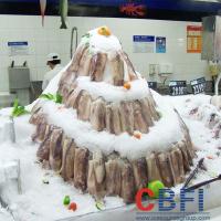 China Industrial 10 Ton Flake Ice Maker Machine for Concrete Cooling 380V 3 Phase for sale
