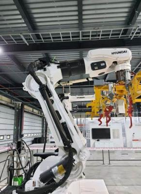 China HP160 Hyundai Packing Robot Arms 160KG Payload And 3128 Reach With Gripper for sale
