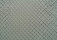 China Grass Protection Plastic Wire Mesh Hexagon Aperture Wear Resisting 3mm Thickness for sale