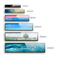 China High Brightness Shelf Edge Bar Lcd Monitor Retail Stores Ultra Wide Stretched Displays 49.5Inch for sale