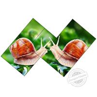 China Original 55 Inch 0.88mm bezel 3x3 IPS LCD LED TV Video Wall Display 800nits 1080p 4K Wall Mounted Video Wall for sale