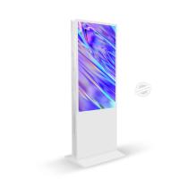China Indoor Vertical FHD Double-Sided LCD Display Monitor Kiosk Advertising Player 43 49 55 65 Inch with 350 cd/m2 Brightness for sale