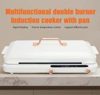 China Waterproof Ceramic Panel Electric Induction Cooker for Household and Outdoors Advanced for sale