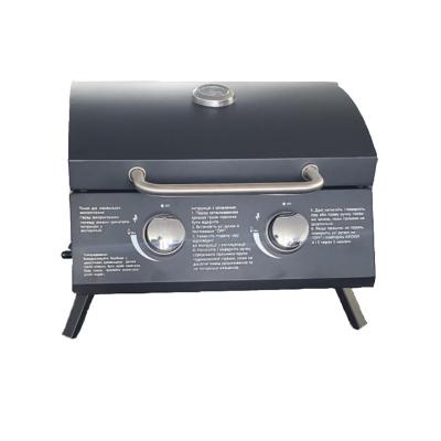 China Powder Coated 2 Burners Gas BBQ Grill Propane Rotisserie Roaster Outdoor Oven for sale