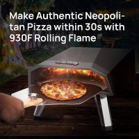 China Outdoor and Commercial Pizza Oven Perfect for Baking Delicious Pizzas 3.9 kW for sale