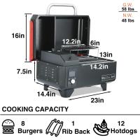 China Intelligent Temperature Control Electric Woodfire BBQ Smoker Grill for Outdoor Barbecue for sale