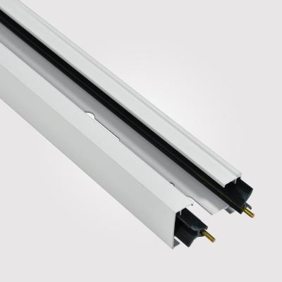 China Clothing Store Full Copper 2 Wire Track Rail Aluminum for sale