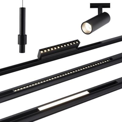China Magnetic Track Light 10W Household Smart Graffiti Living Room Floodlight for sale