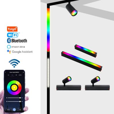 China 2700K LED Magnetic Track Light  220v Smart Rgb Spotlight Without Main Lighting for sale