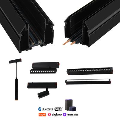 China 25mm Tension Ceiling Track Rail Commercial Lighting Smart Wifi Linear Grille Light 220V 2 Wires for sale