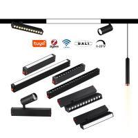 China Smart Tuya App Magnetic Track Light Without Main Light 12W 3000K Spotlight for sale