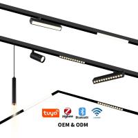 China Intelligent 220V High Voltage Linear Flood Light LED Living Room Magnetic Light for sale