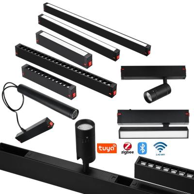 China High Voltage Magnetic Track Light For Home Living Room With No Main Light for sale
