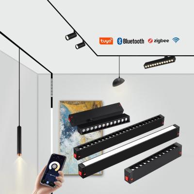 China 220V High Voltage Magnetic Track Light Embedded No Main Light Lighting for sale