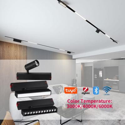 China Tuya 2.4G Magnetic Lamp Wholesale Embedded Living Room Commercial Lighting Without Main Lamp for sale