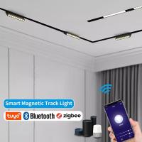 China Smart Tuya 2.4G Mobile Phone Controlled LED Magnetic Flood Light Spotlight for sale
