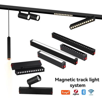 China 25MM Magnetic Track Light 220V Floodlight Home Living Room Without Main Light Lighting for sale