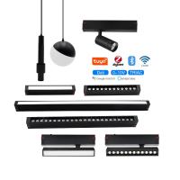 China Smartphone Controls 2.4G Magnetic Track Light Pendant Light Without Main Light Lighting for sale
