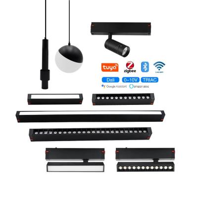 China Smartphone Controls 2.4G Magnetic Track Light Pendant Light Without Main Light Lighting for sale
