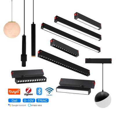China Smart 2.4G12W 20W 30W LED Grille Light Spotlight Magnetic Track Light for sale
