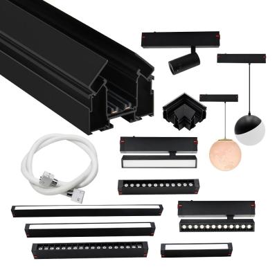 China 220V Tuya Smart Magnetic Track Lamp 10W 20W Black Linear Led Floodlight for sale