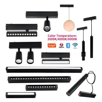 China Intelligent 220V Magnetic Track Light For Home Living Room Without Main Light for sale
