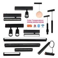 China Intelligent 220V Magnetic Track Light For Home Living Room Without Main Light for sale