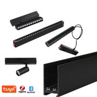 China 220V Magnetic Track Light Embedded Surface Mounted Home Living Room Bedroom Without Main Light Lighting for sale