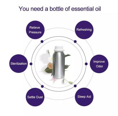China High Density 100% Pure Aroma Scent Oil Plant Extract For Bulk 5L 10L for sale