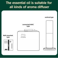 China Wholesale Aroma Oil High Concentrated Long Lasting Essence Oil 500ml Fragrance Scent Oil for Aroma Diffuser for sale
