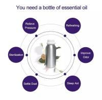 China Wholesale Electric Scent Diffuser Fragrance Oil 500ml Perfume Essential Oil for Aroma Diffuser Wholesale Marketing for sale