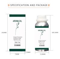 China Branded Perfume Fragrance Oil for Candle and Soap Making Wholesale Diffuser Essential Oil New for Reed Burner Diffusers for sale