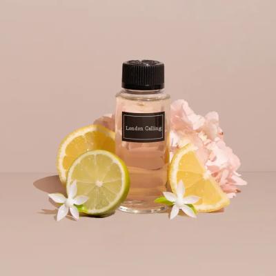 China 500ml Long Lasting Perfume Oil Diffuser Essential Oil for Scent Machine for sale