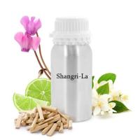 China 500ml Long Lasting Perfume Oil Diffuser Essential Oil for Scent Machine for sale