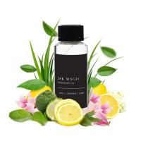 China Classic Series Fragrance Oil for Perfume Making Arabian Perfume Oil Concentrated Wholesale Professional for sale