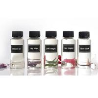 China Fruity Floral Fragrance Oil for Perfume Branded Wholesale 500ml Scent Perfume Essential Oil for sale
