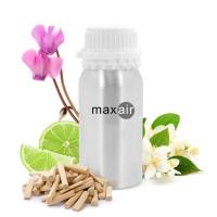 China Rromatherapy Raw Material Fragrance Essential Oil Fragrance Oil Concentrate for sale