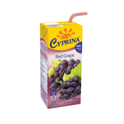 China New Design Disposable Standard Beverage Packaging Box Juice Cardboard Juice Carton for sale