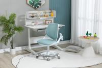 China Adjustable Armrest Kids Office Chair Ergonomic Design 250 lbs Weight Capacity for Home Office for sale