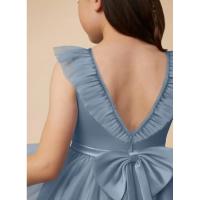 China Popular Girl Kids Dress Blue Tulle OEM ODM Baby Flower Girl Dresses Sleeveless Round Neckline Ruffles Ball Gown Retailer for sale