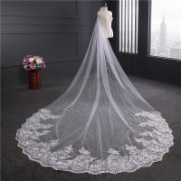 China Beautiful Customized 3m*3m Wholesale Long Cathedral Appliqued Lace Tulle Bridal Wedding White Veil With Hair Comb for sale
